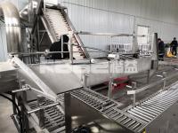 China Nuts Ginger Conveyor Dryer Machine Fish Chilli Dryer Machine for sale