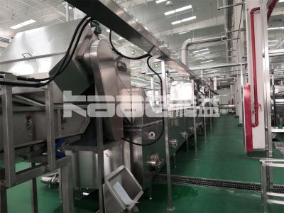 Cina Caldaia trasportatore asciugatrice macchina in acciaio inossidabile Dehidratore per frutta e verdura in vendita