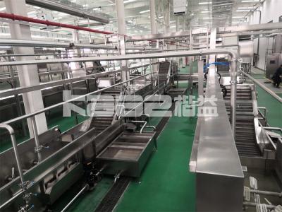 Cina Frutta ortaggi rete cintura asciugatrice macchina trasportatore macchina per mangimi per animali Asciugatrice per ortaggi in vendita