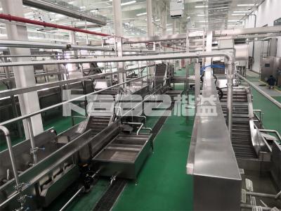 Cina Frutta ortaggi rete cintura asciugatrice macchina trasportatore macchina per mangimi per animali Asciugatrice per ortaggi in vendita