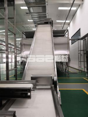 Cina Deidratore di forno a galleria, trasportatore continuo, asciugatrice di pesce, asciugatrice di pallet per mangimi in vendita