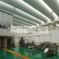 China Industrial Strawberry Blueberry Raspberry Wolfberry Making Machine Processing Line for sale
