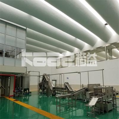 Cina Stroberi industriali Blueberry Frambozzo Wolfberry Sea Buckthorn Succo e Concentrato Making Machine Processing Line in vendita