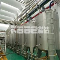 China Industrial Strawberry Blueberry Raspberry Wolfberry Making Machine Processing Line for sale