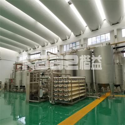 Cina Stroberi industriali Blueberry Frambozzo Wolfberry Sea Buckthorn Succo e Concentrato Making Machine Processing Line in vendita