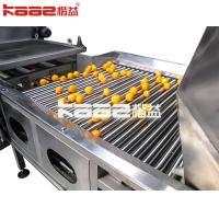 China Customized NFC Juice Processing Equipment Fully Automatic Food Grade Material for sale