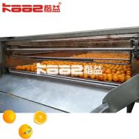 China Customized NFC Juice Processing Equipment Fully Automatic Food Grade Material for sale