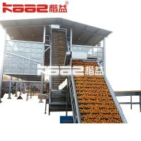 China Customized NFC Juice Processing Equipment Fully Automatic Food Grade Material for sale