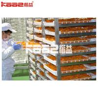 China Fully Automatic Dried Persimmon Processing Line For Food Processing Plant for sale