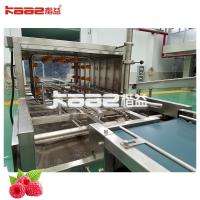 China Stainless Steel Berry Juicer Machine Easy Operation Squeezer Machine for sale