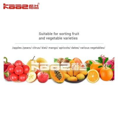 Cina 0.5 - 30 t/h Sistema automatico di selezione dei frutti Sistema fotoelettrico di selezione dei frutti Macchina automatica di selezione e classificazione dei frutti in vendita