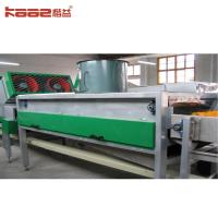 China Modern Friuts Sorting Technology Automatic Fruit Photoelectric Sorting System for sale