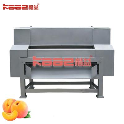 Cina Peach Stone Removing Machine Double Channel Fruit Beating Machine in vendita