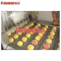 China Dates Peach Fruit Processing Machine Automatic Stone Removing Machine for sale