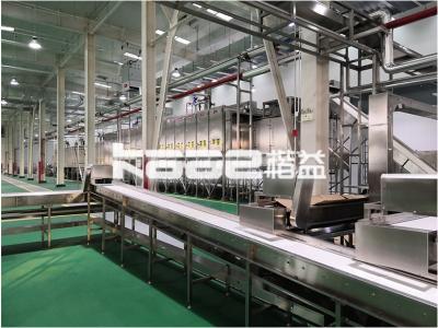 Cina Macchine per l'essiccazione industriali a nastro trasportatore in acciaio inossidabile con asciugatrice per la trasformazione alimentare/la trasformazione delle frutta/la trasformazione delle verdure in vendita