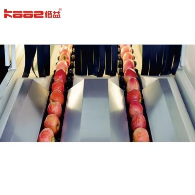 Cina Succo d'arancia Sus304 attrezzature trasportatrici per la selezione dei frutti su rulli personalizzate in vendita