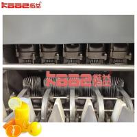 China Four-Channel Processing Cup-Type Of Juice Extractor Automatic Cleaning for sale