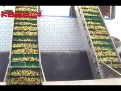 Машина для переработки яблочного сока
