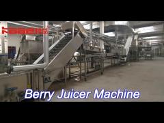 Automated Industrial Berry Juicer Machine For Fruit And Vegetable