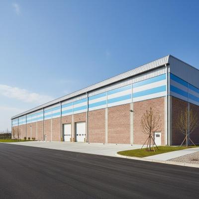 China Single Steel Sheet Roof And Wall Steel Structure Warehouse With 12m Height Brick Wall And Sandwich Panel Or Color Steel Sheet Walls for sale