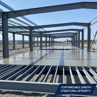China Customizable Length Commercial Steel Buildings Featuring Floor Deck Concrete Floor System Providing Structural Integrity for sale