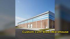 Custom Steel Structure Warehouse 12m Height Solution