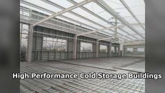 Custom Insulated Cold Storage Steel Warehouse Solutions