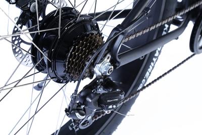China de Berge Fiets van 48V 750W met Tektro-Hydraulische remsysteem Te koop