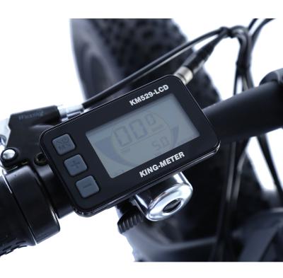 China de Berge Fiets van 48V 750W met Tektro-Hydraulische remsysteem Te koop