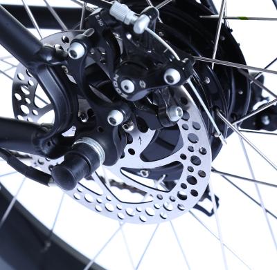 China de Berge Fiets van 48V 750W met Tektro-Hydraulische remsysteem Te koop