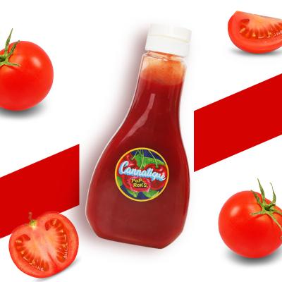 China 2021 New Arrivals Personal Labels Tomato Bbq Chili Sauce Plastic Bottle Ketchup Squeeze Bottle 210Ml 290G for sale