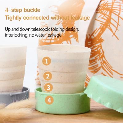 China Folding Water Cup Mini Water Bottle Outdoor Sports Portable Compression Travel Riding Telescopic Cup for sale