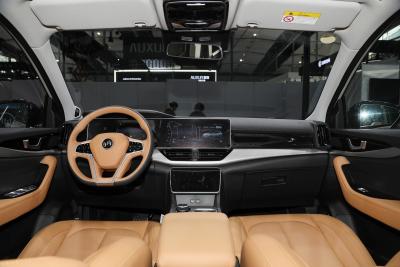 Cina Weima W6 New Energy Weltmeister SUVs elettrico pieno medio 160kW in vendita