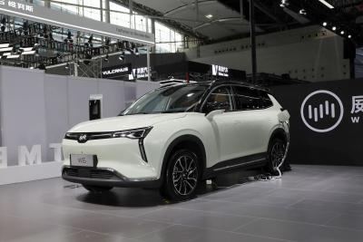 Cina 218 veicolo elettrico della batteria al litio della guida a sinistra del motore W6 di cavalli vapore WM in vendita