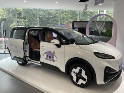 Cina 2024 Adult Koala Arcfox Kala MPV Cars The Perfect Combination of Style and Function in vendita
