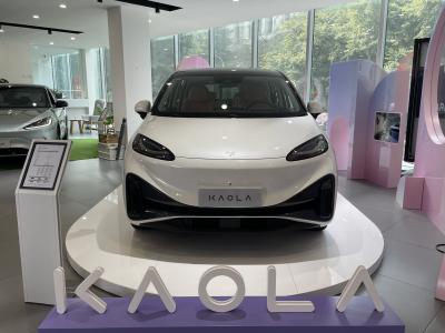 Cina 2024 Adult Koala Arcfox Kala MPV Cars The Perfect Combination of Style and Function in vendita