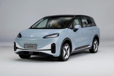 Cina 2024 Adult Koala Arcfox Kala MPV Cars The Perfect Combination of Style and Function in vendita