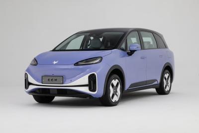 Cina 2024 Adult Koala Arcfox Kala MPV Cars The Perfect Combination of Style and Function in vendita