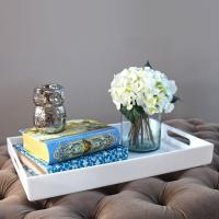 China 2mm 3mm Thickness Acrylic Tray Display Square Lucite Serving Tray for sale