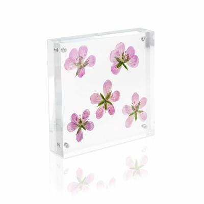 Cina Cornici magnetiche acriliche Frameless dell'esposizione acrilica della foto di PMMA per il frigorifero in vendita