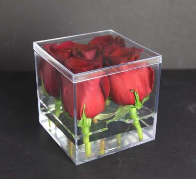 China Caixa acrílica da flor do plexiglás com inserção à venda