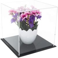 China Versatile Display Plastic PMMA Acrylic Display Case With Black Base for sale