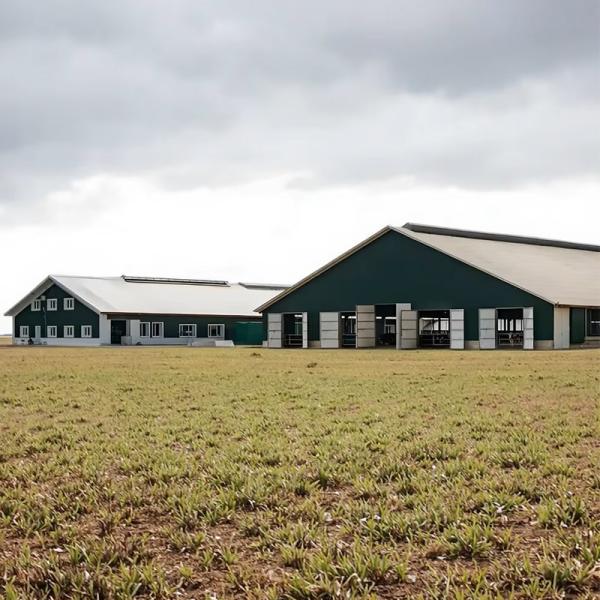 Quality Earthquake Proof Q345 Steel Structure Building Prefab Steel Farm Building For Livestock for sale