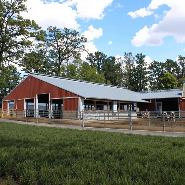 Quality Weatherproof Prefabricated Steel Frame Farm Building Poultry House Easy Install for sale