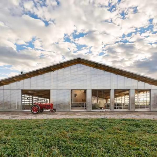Quality Modern Design Prefab Dairy Cow Shed Galvanized Steel Structure Farm Easy Installation for sale