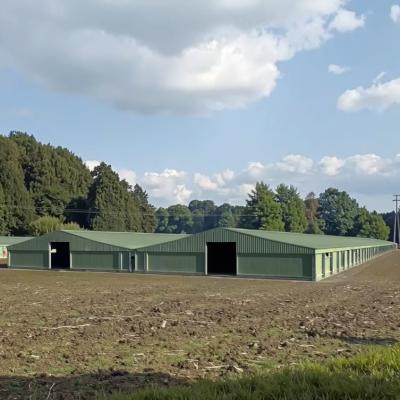 China Steel Frame Logistics Distribution Center Building 50m x 150m x 13m Multi Bay Dock Construction for sale