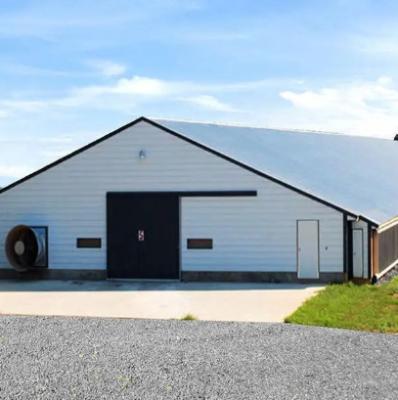 China Multifunctional Steel Frame Chicken Coop Lightweight Steel Frame Building Mould Proof for sale