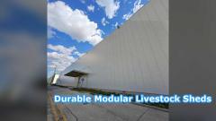 Modular Steel Livestock Sheds Durable Ventilated Barns