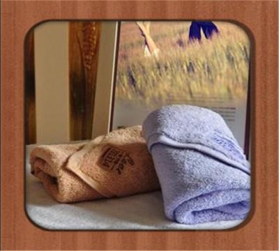 China Promotion Christmas Gift towel Microfiber material Embroidery Cartoon Towel for sale