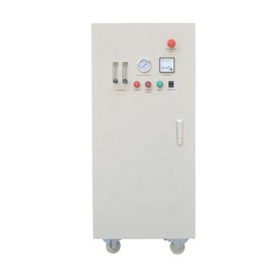 Cina Controllo automatico elettrico Generatore di bolle di ossigeno ad alta energia micro nano per industria in vendita